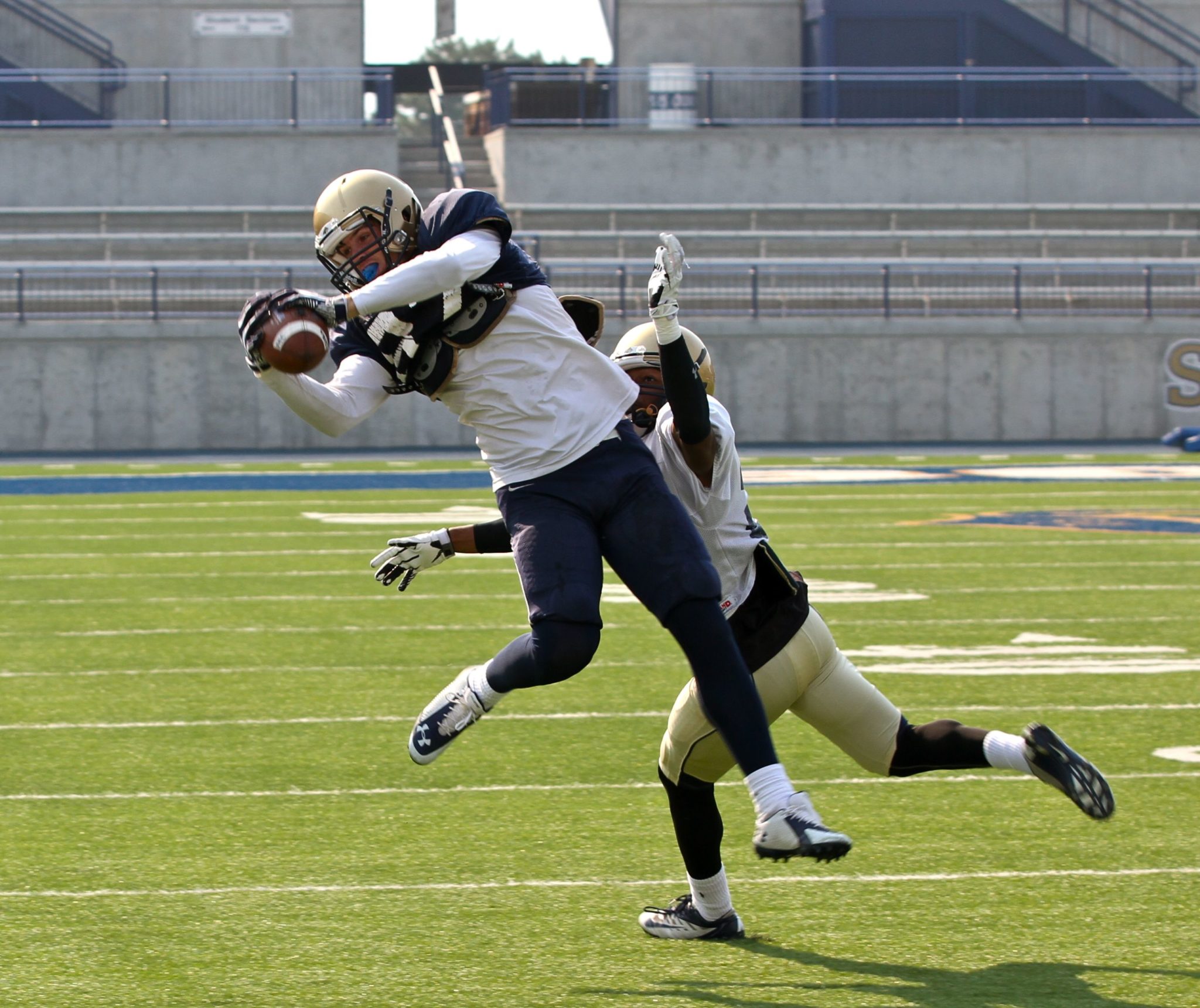 Sullivan more comfortable after a year at MSU – Skyline Sports