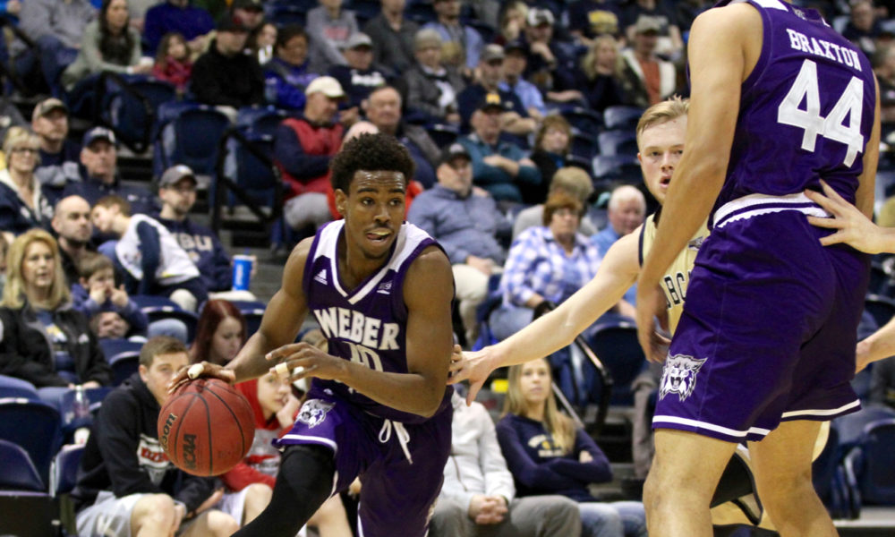 Harding, fast-paced Wildcats sprint past Montana State – Skyline Sports